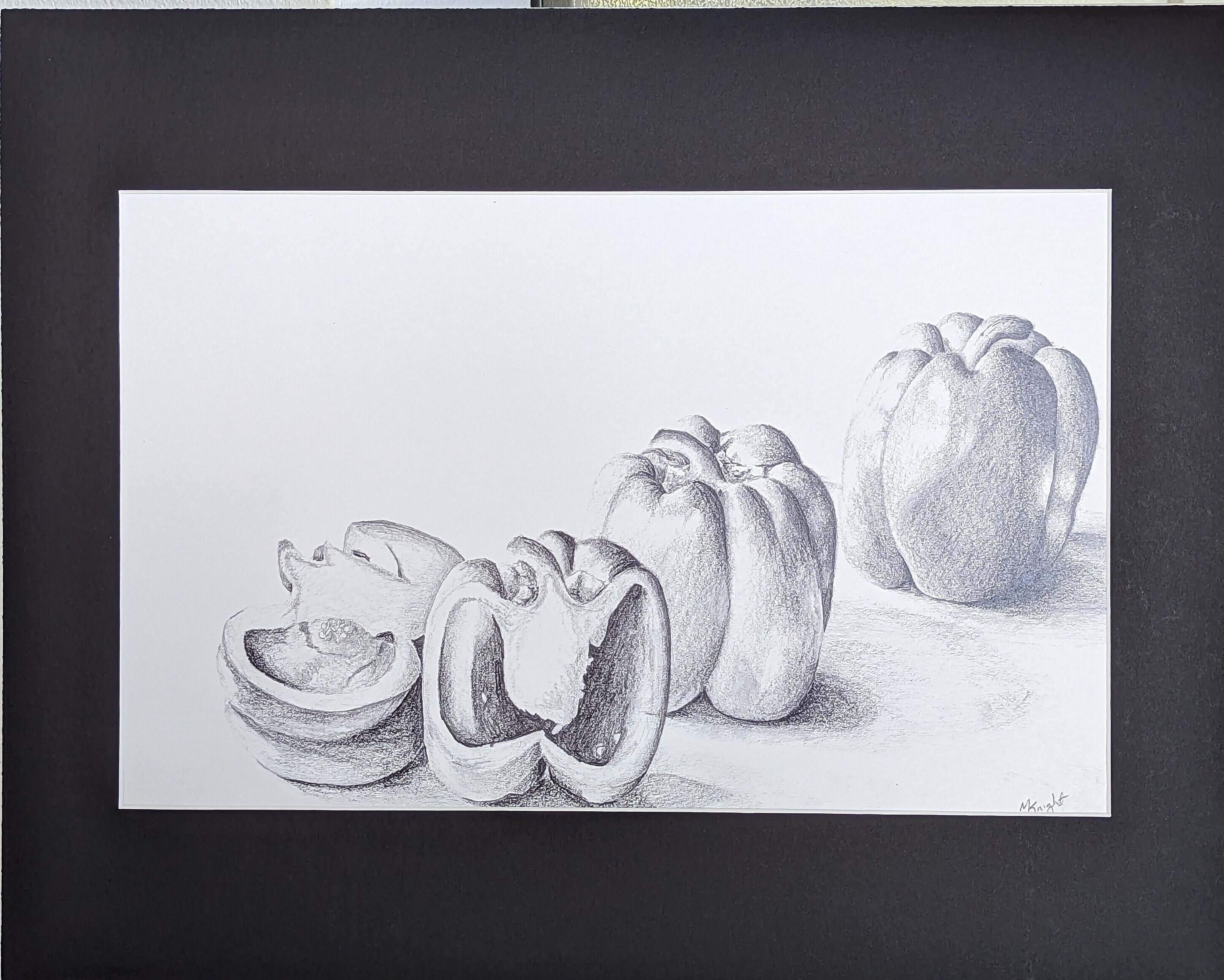 One Pepper Pencil Drawing Print Frame-ready - Etsy