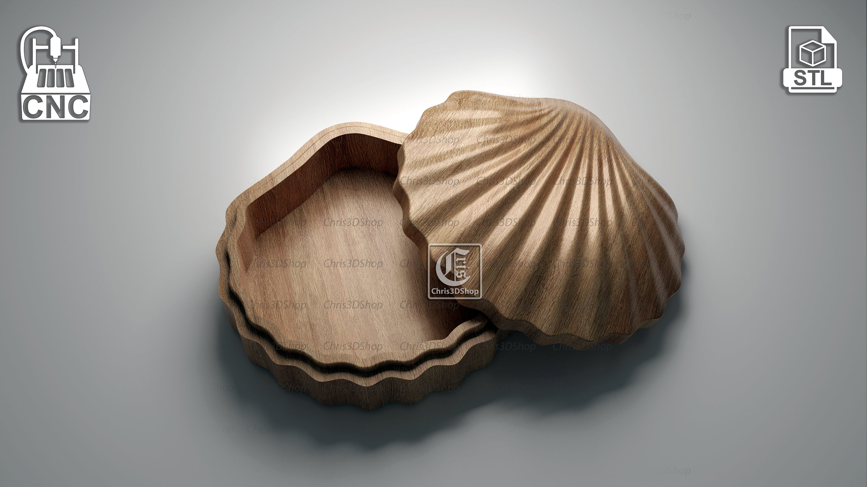 Shell Shaped Ring Box
