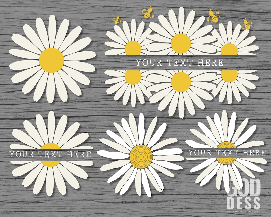 Daisy SVG as Floral Frame, Floral Monogram, Flower Border and Split ...
