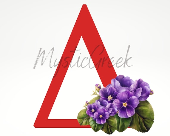 Delta Sigma Theta African Violets