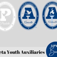 Zeta Phi Beta Sorority Inc Amicette Youth Auxiliaries Girl 1920 Service ...