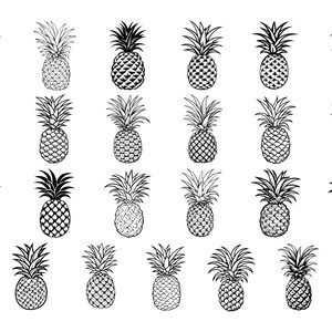 50 Pineapple Procreate Stamps & Brushes (digital Download) - Etsy