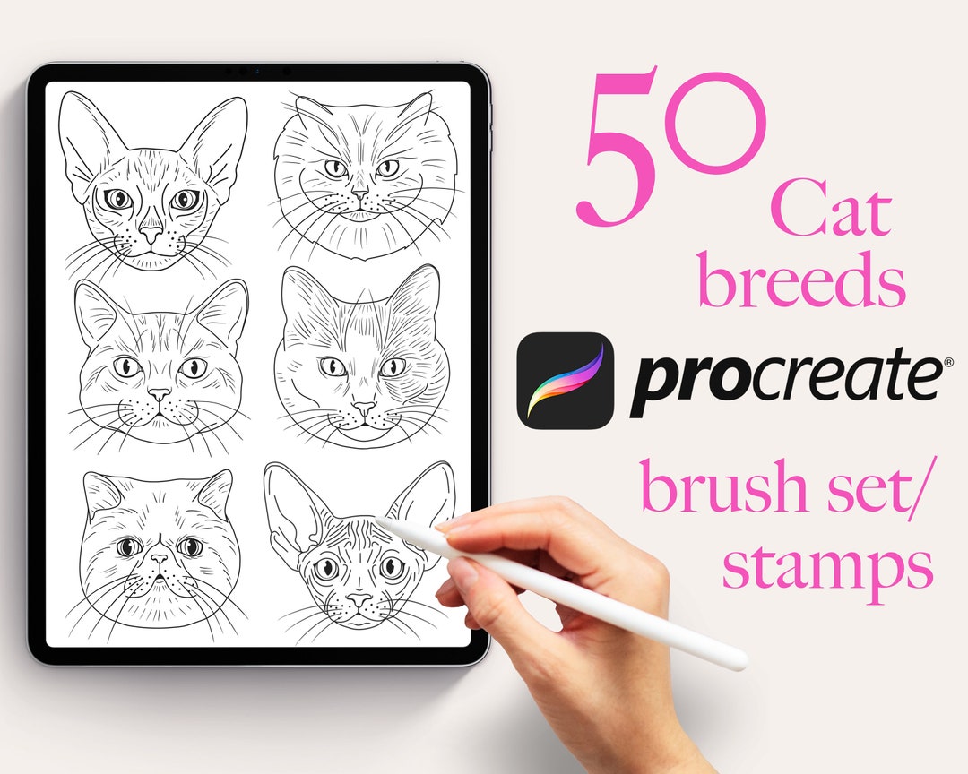 50 Cat Breeds Procreate Stamps Cats Procreate Brushes Cats - Etsy