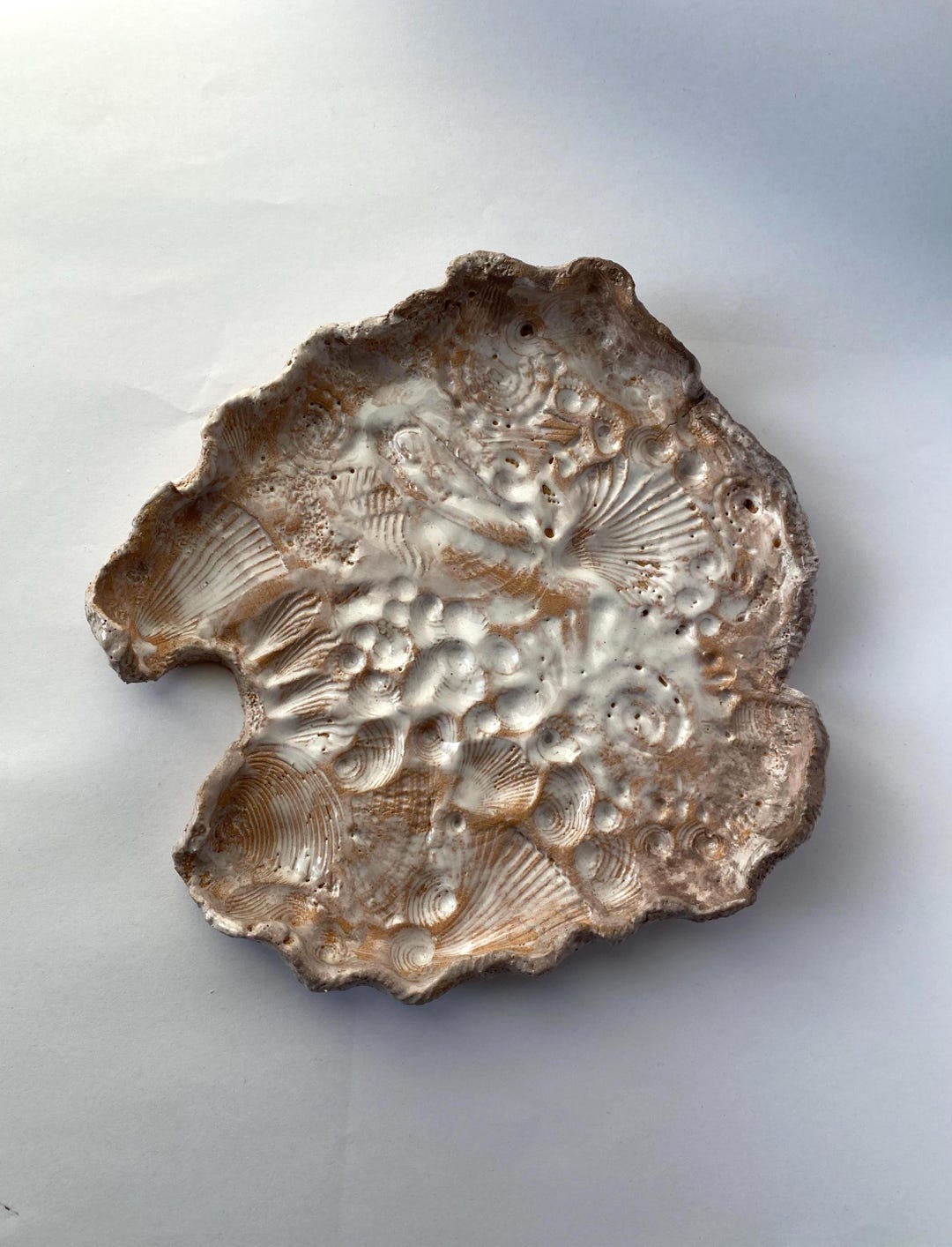 Prehistoric Shell Ceramic Plate – Handmade Textured Dish for Food or ...