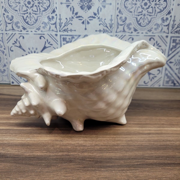 Conch Shell Planter - Etsy