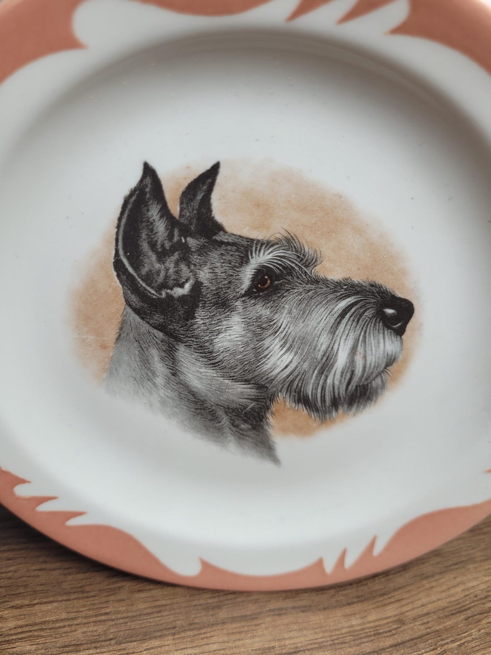 Vintage Armorlite Dog Plate, Miniature Shnauzer Plate, Vintage Dog, Dog ...