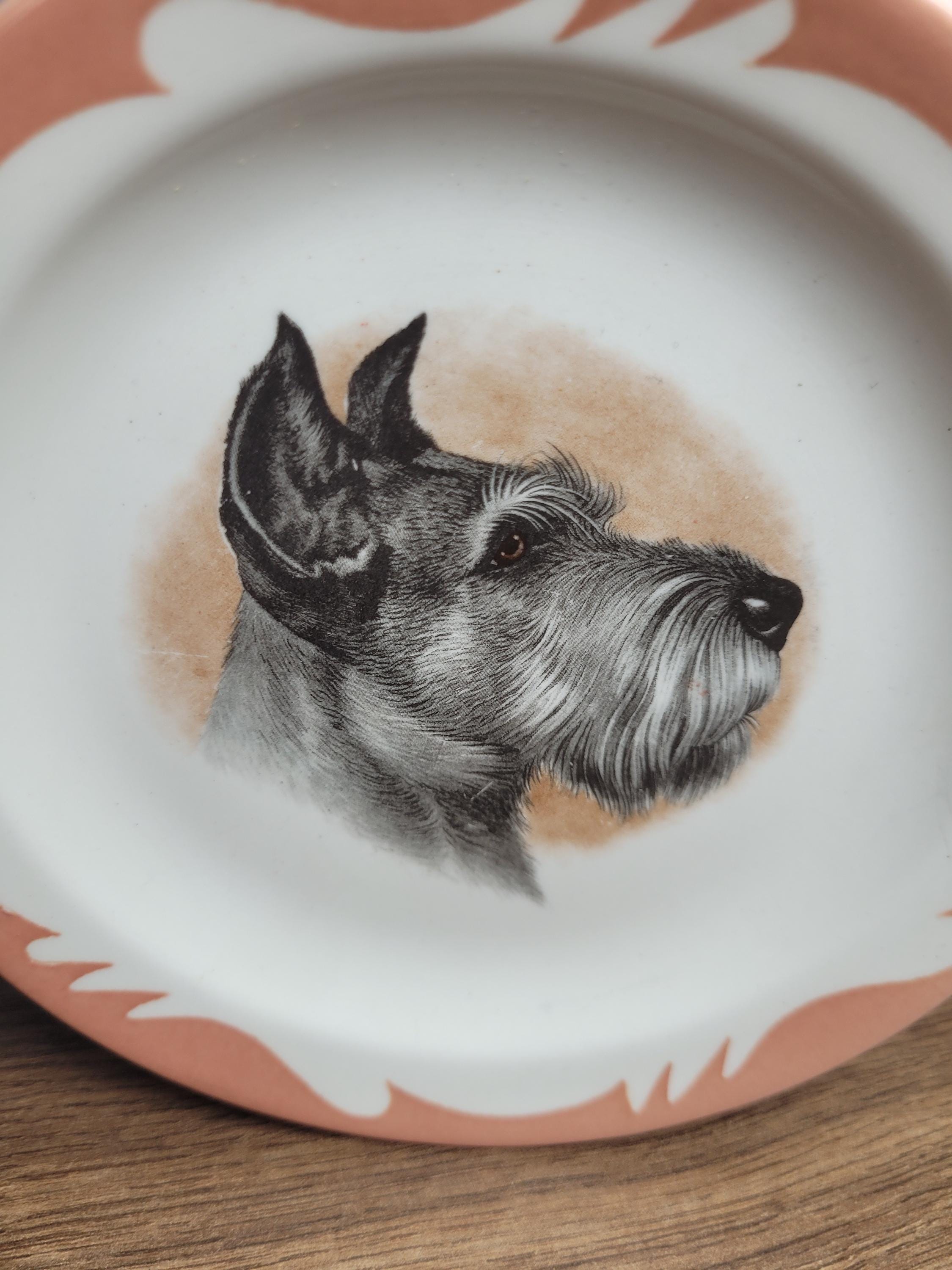 Vintage Armorlite Dog Plate, Miniature Shnauzer Plate, Vintage Dog, Dog ...
