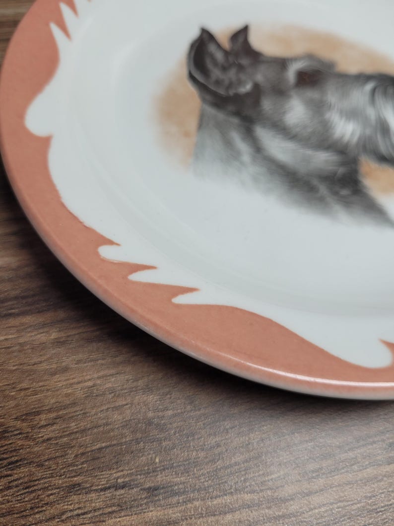 Vintage Armorlite Dog Plate, Miniature Shnauzer Plate, Vintage Dog, Dog ...