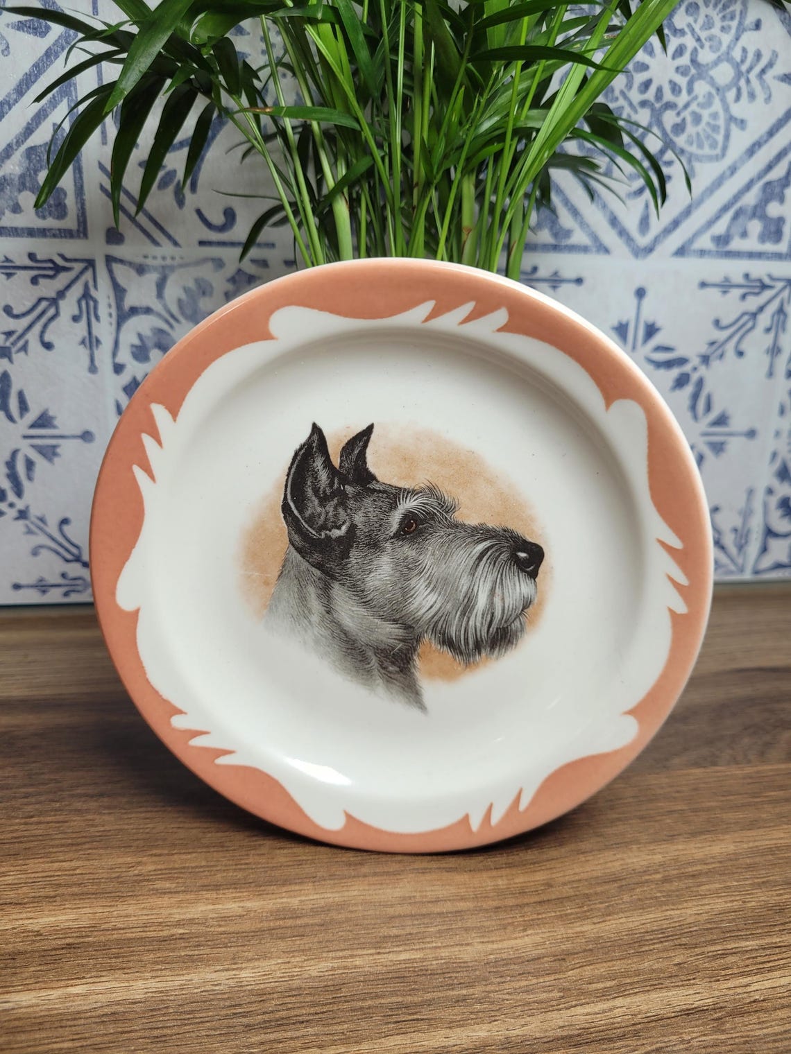 Vintage Armorlite Dog Plate, Miniature Shnauzer Plate, Vintage Dog, Dog ...