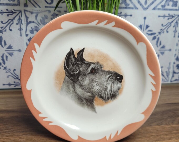 Vintage Armorlite Dog Plate, Miniature Shnauzer Plate, Vintage Dog, Dog ...