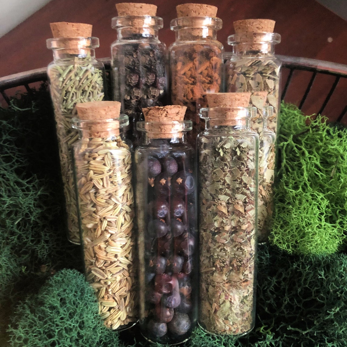 Witch's Protection Herb Kit Herb Starter Kit for - Etsy