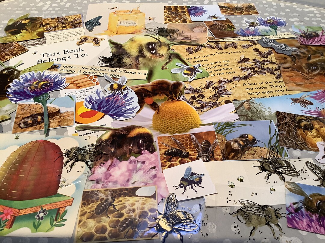 50 Piece Bee Themed Junk Journal Pack, Fussy Cuts, Scrapbooking Kit ...