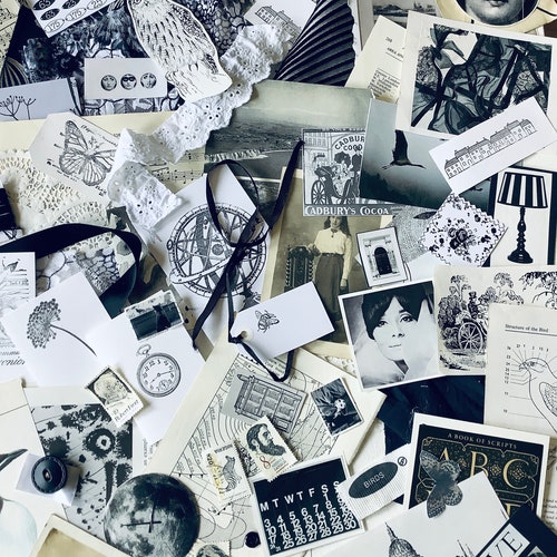 Placid Zebra and Hasty Elephant Note Card Set Letter Writing | Etsy UK