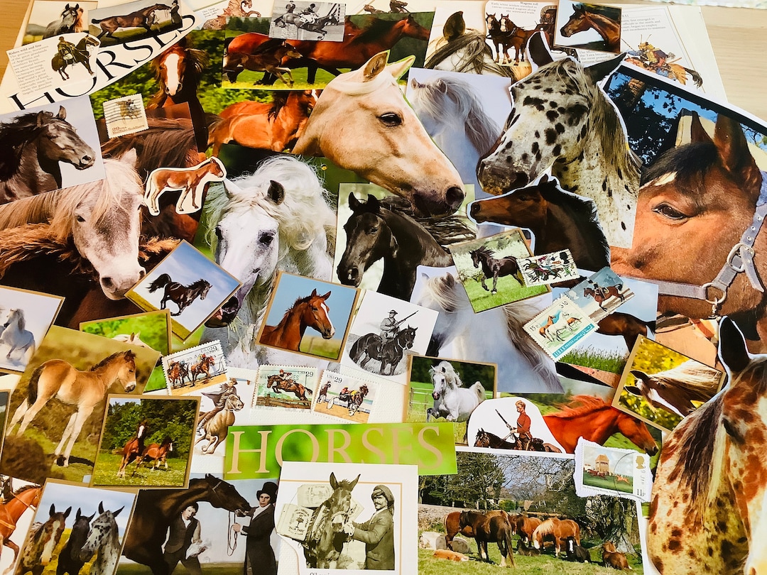 Vintage Equestrian Craft Kit: Horse & Pony Scrapbook Ephemera - Etsy