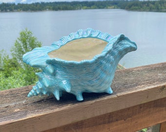 Conch Shell Planter - Etsy
