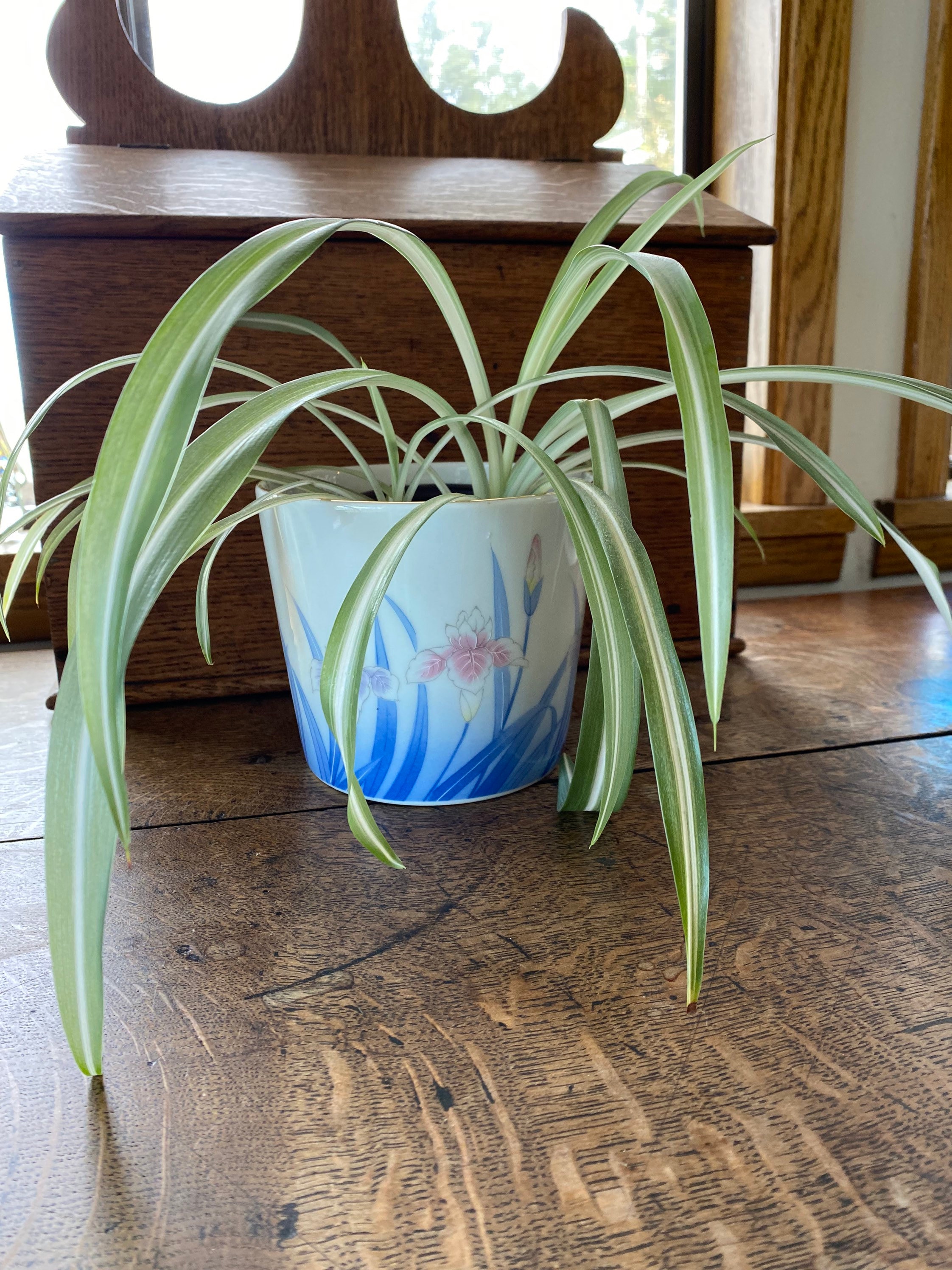 Vintage Floral Iris Planter, Pastel Flower Pot, Made in Japan - Etsy