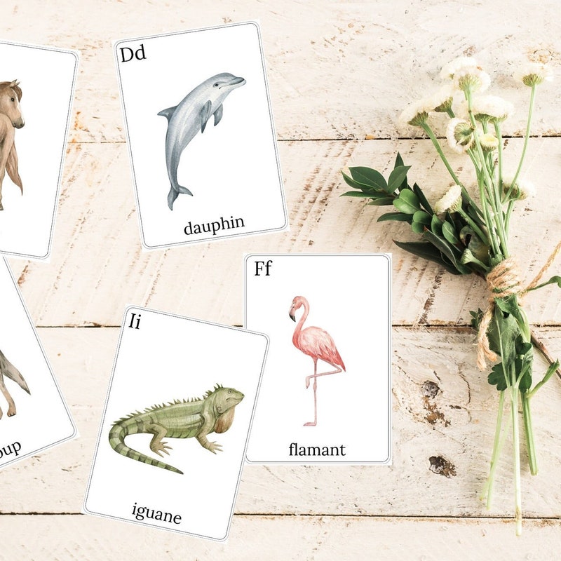 French Alphabet - Etsy