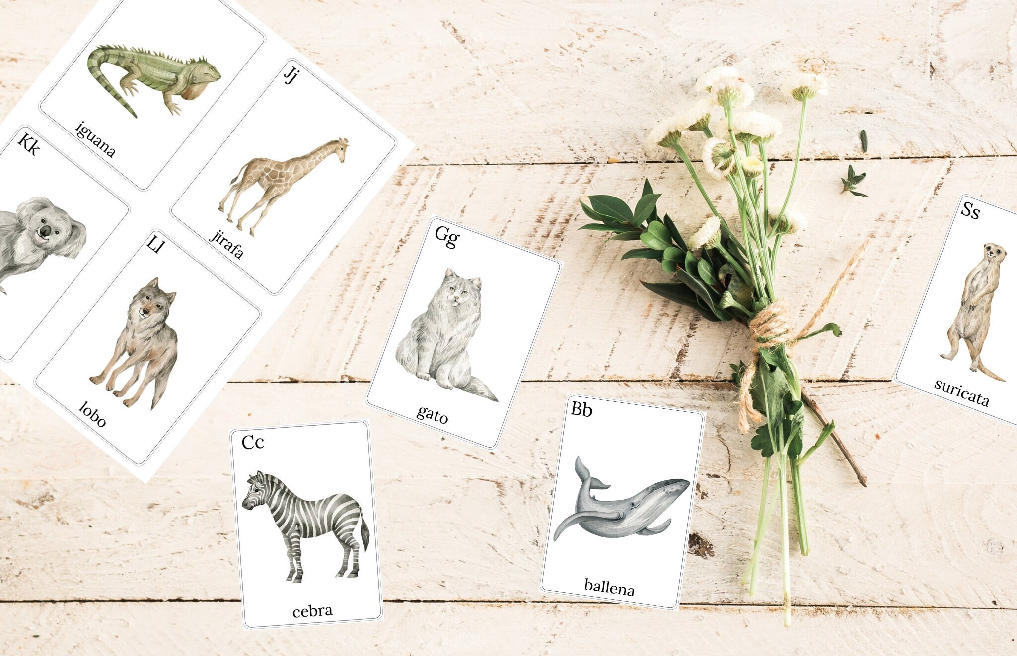 Spanish Alphabet Flash Cards - Spanish A to Z Printable Flashcards ...