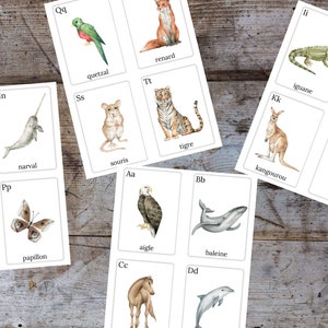 French Alphabet Flash Cards Printable - French A-Z Flashcards ...