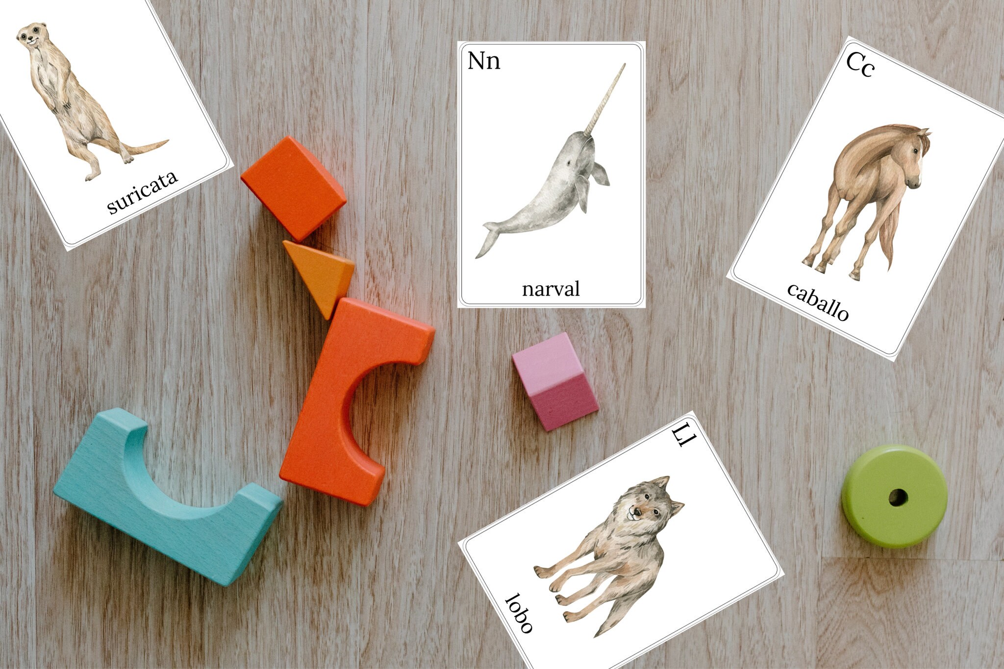 Spanish Alphabet Flash Cards - Spanish A to Z Printable Flashcards ...