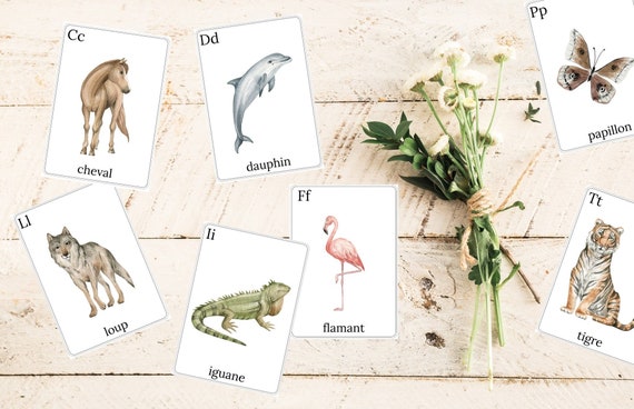 French Alphabet Flash Cards Printable French A-Z Flashcards - Etsy