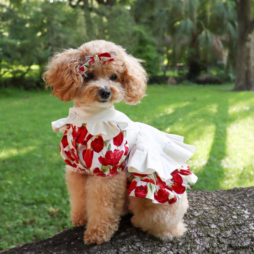 Ruffled Sundress With Puffy Sleeves for Dogs - Etsy