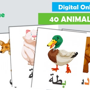 40 Printable Arabic Animals Flashcards and Memory Game (DIGITAL ONLY ...