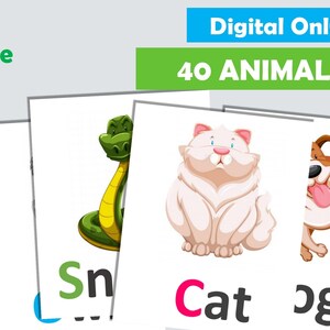 40 English Animals Flashcards and Memory Game Printables (DIGITAL ONLY ...