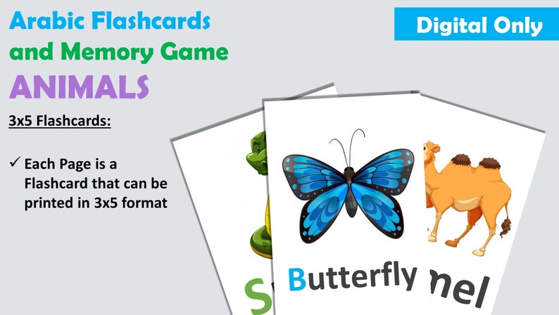 40 English Animals Flashcards and Memory Game Printables (DIGITAL ONLY ...