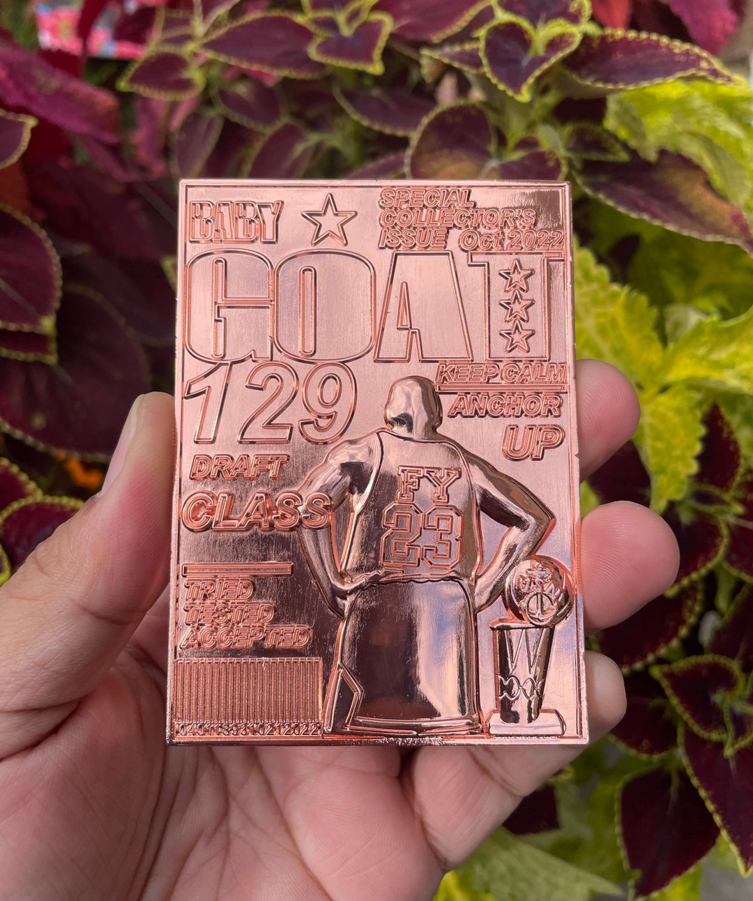USN Class 129 FY 23 Baby GOAT Challenge Coin All Rose Gold Version - Etsy