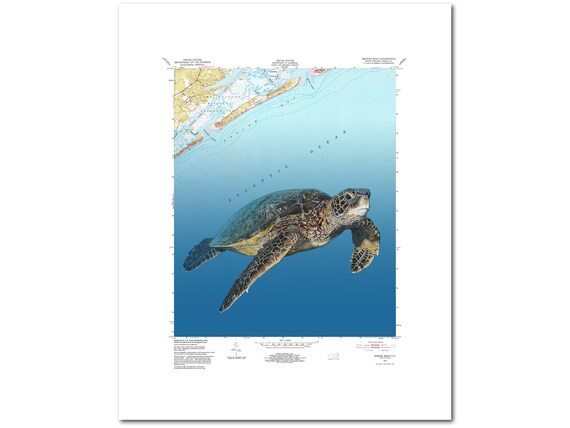 Sea Turtle Art on Browns Inlet North Carolina Location Map - Etsy