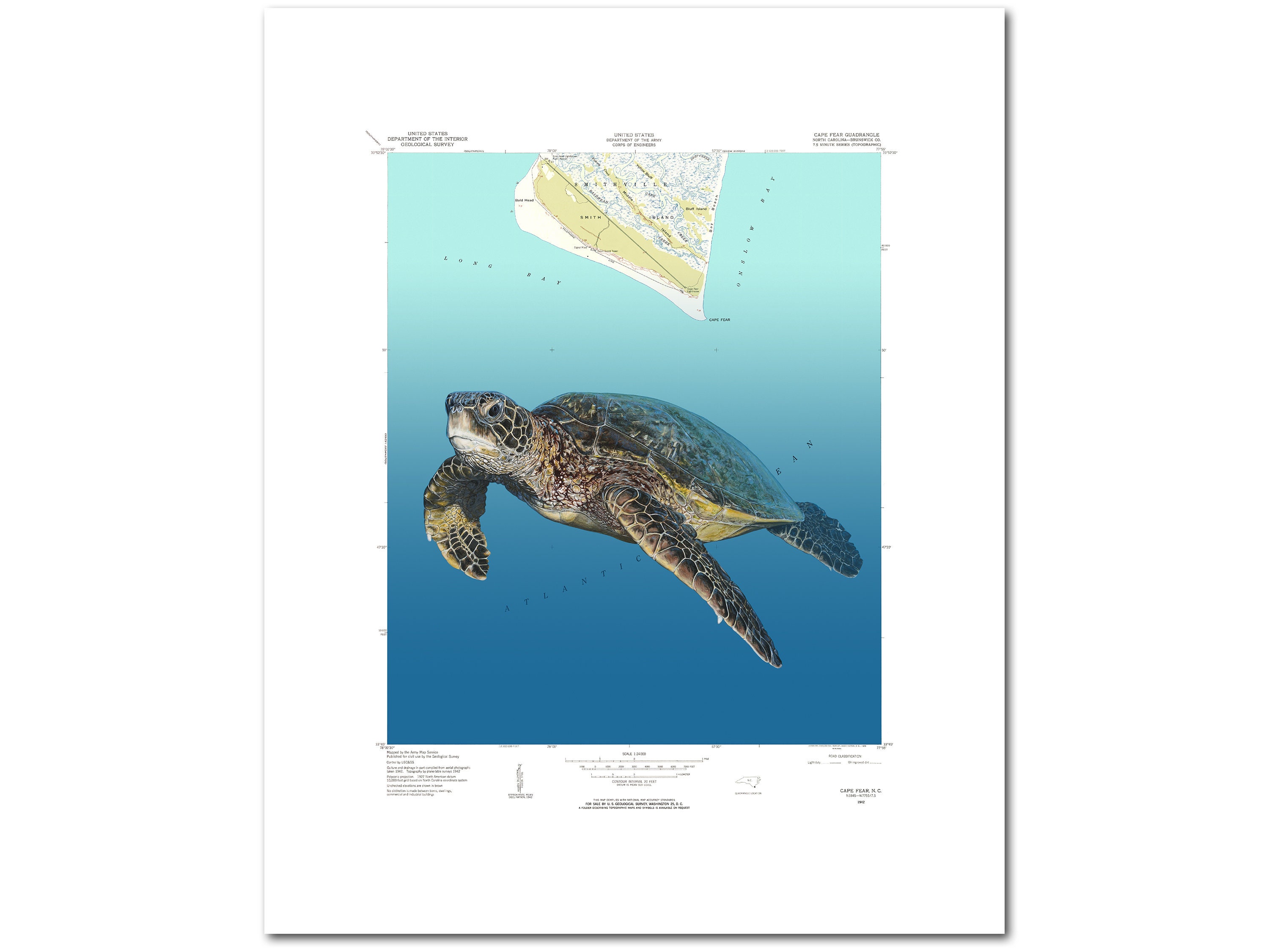 Hawksbill Sea Turtle Map