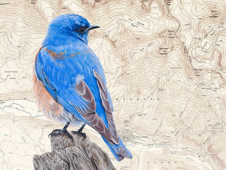 Bluebird - Telluride Colorado Location Map Custom Map Print - Mountain ...