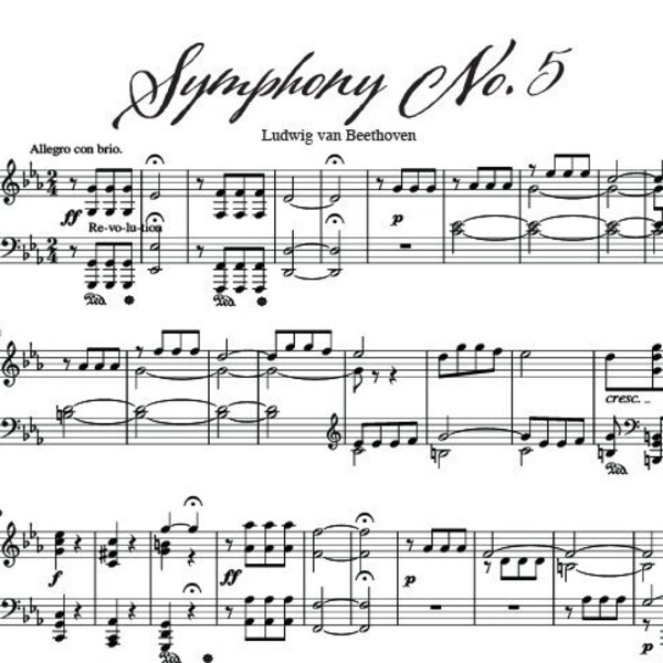 Ludwig Van Beethoven - Etsy