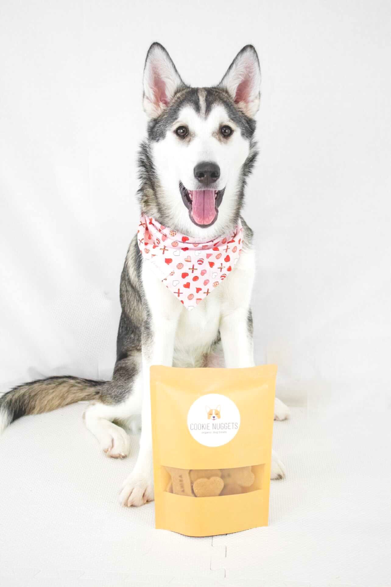 Personalized Organic All Natural Dog Cookies | Etsy
