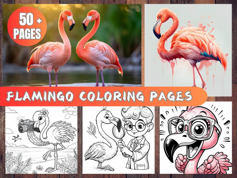 Flamingo Coloring Pages for Kids, Printable Animal Coloring Sheets ...