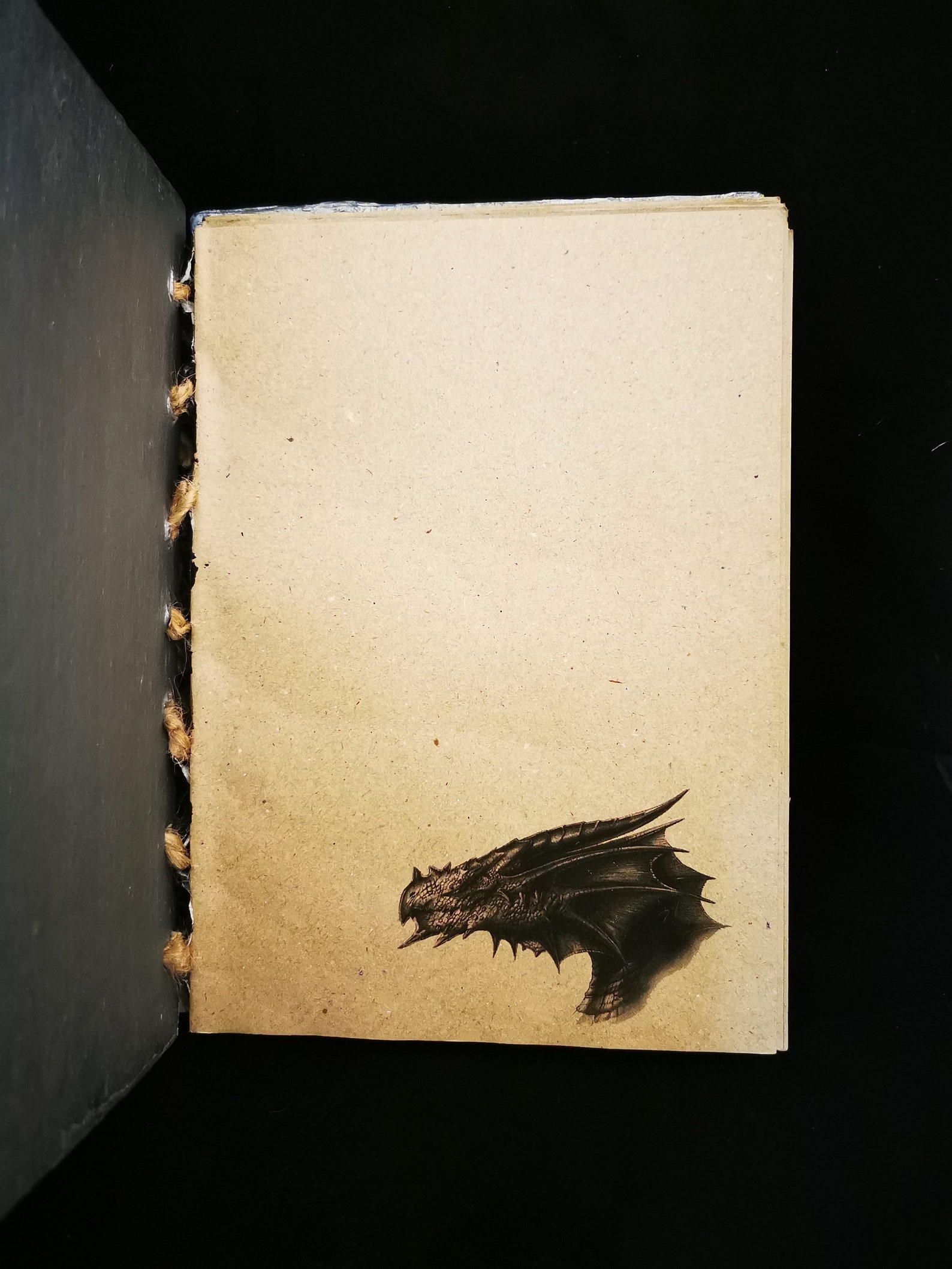 Dragon Eye Book, Grimoire, Spellbook - Etsy