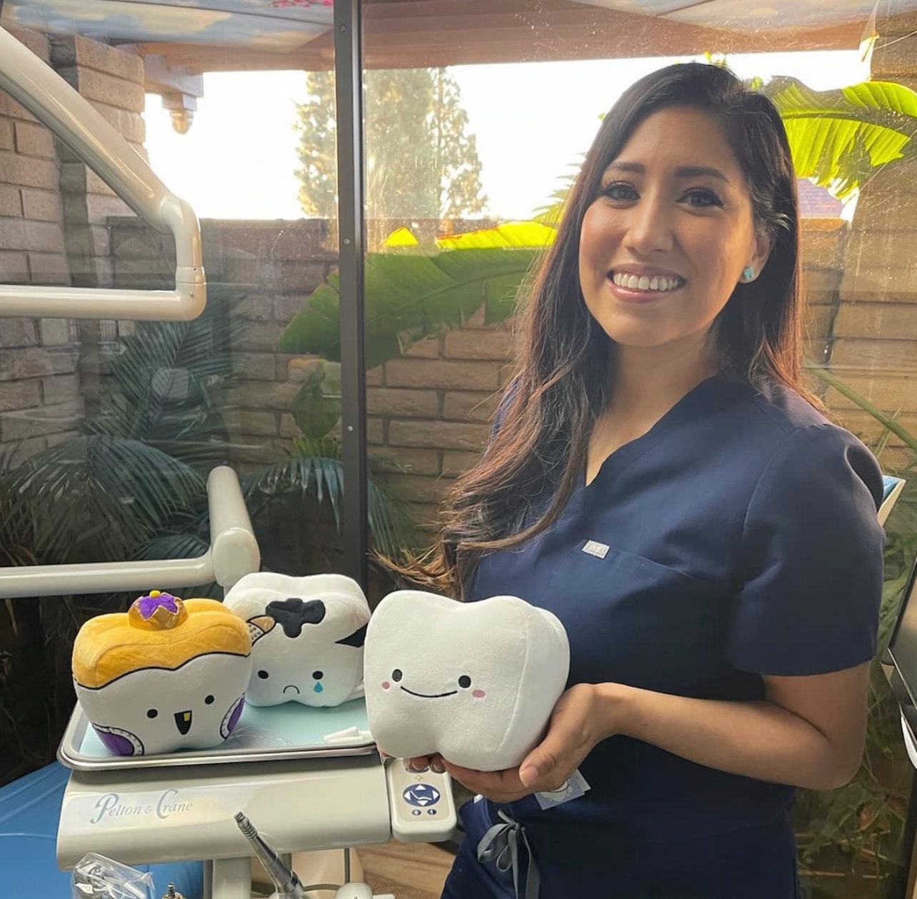 Plush Toys tooth Plush Family Dental Gifts - Etsy