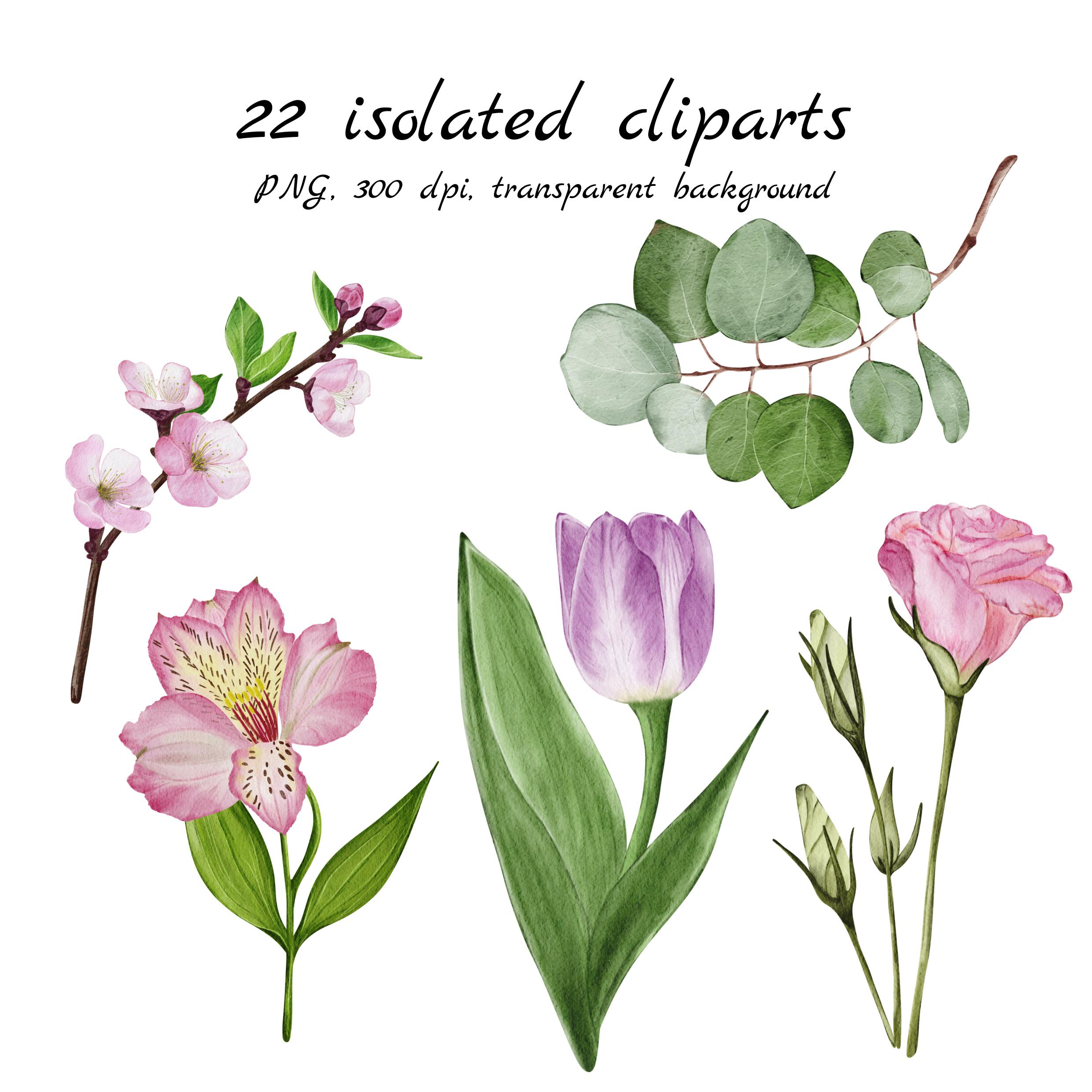 Watercolor Flowers Clipart Bundle: Floral PNG Collection - Etsy