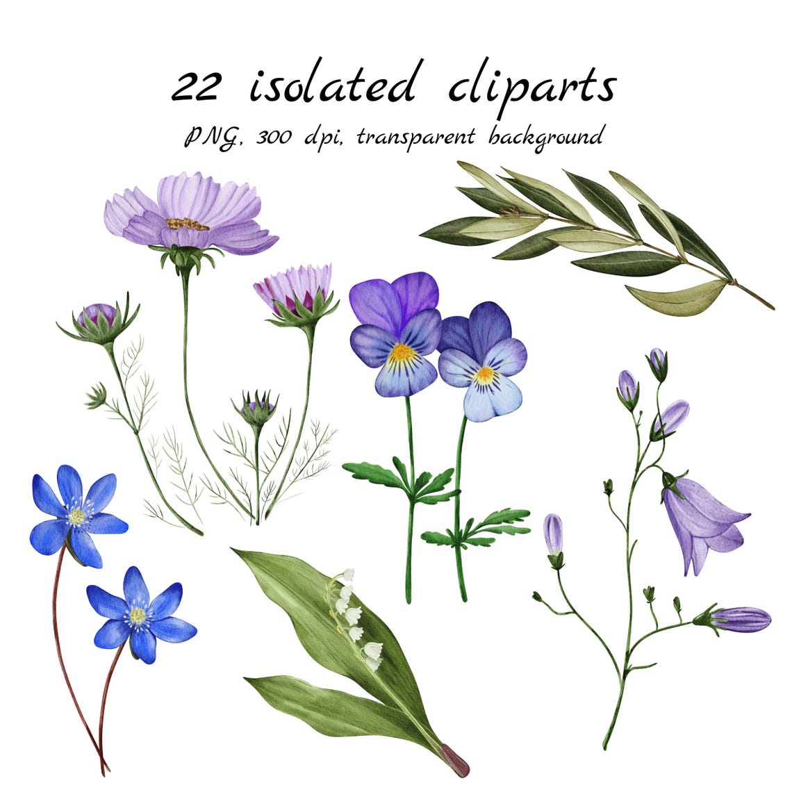Watercolor Flowers Clipart Bundle: Floral PNG Collection - Etsy
