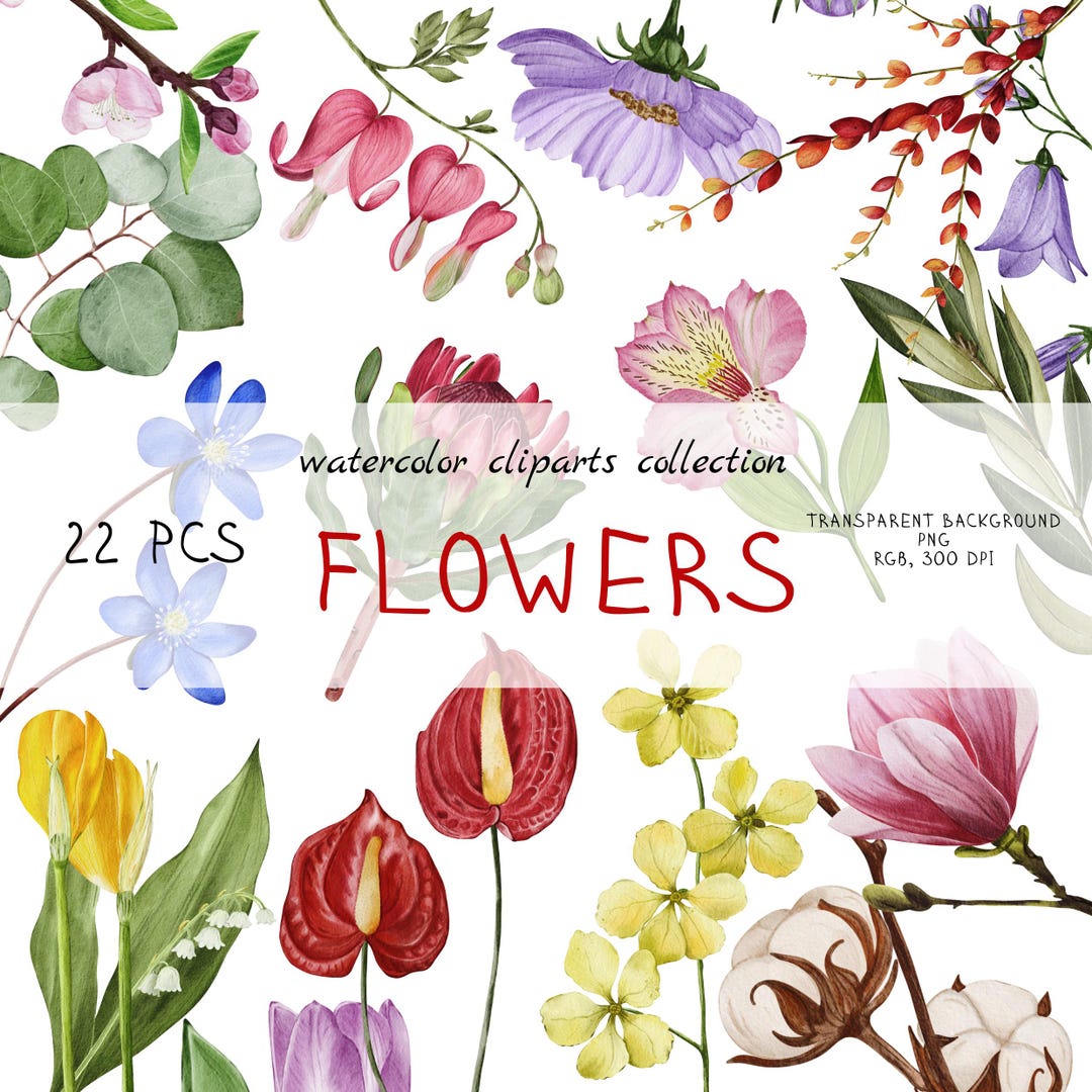 Watercolor Flowers Clipart Bundle: Floral PNG Collection - Etsy