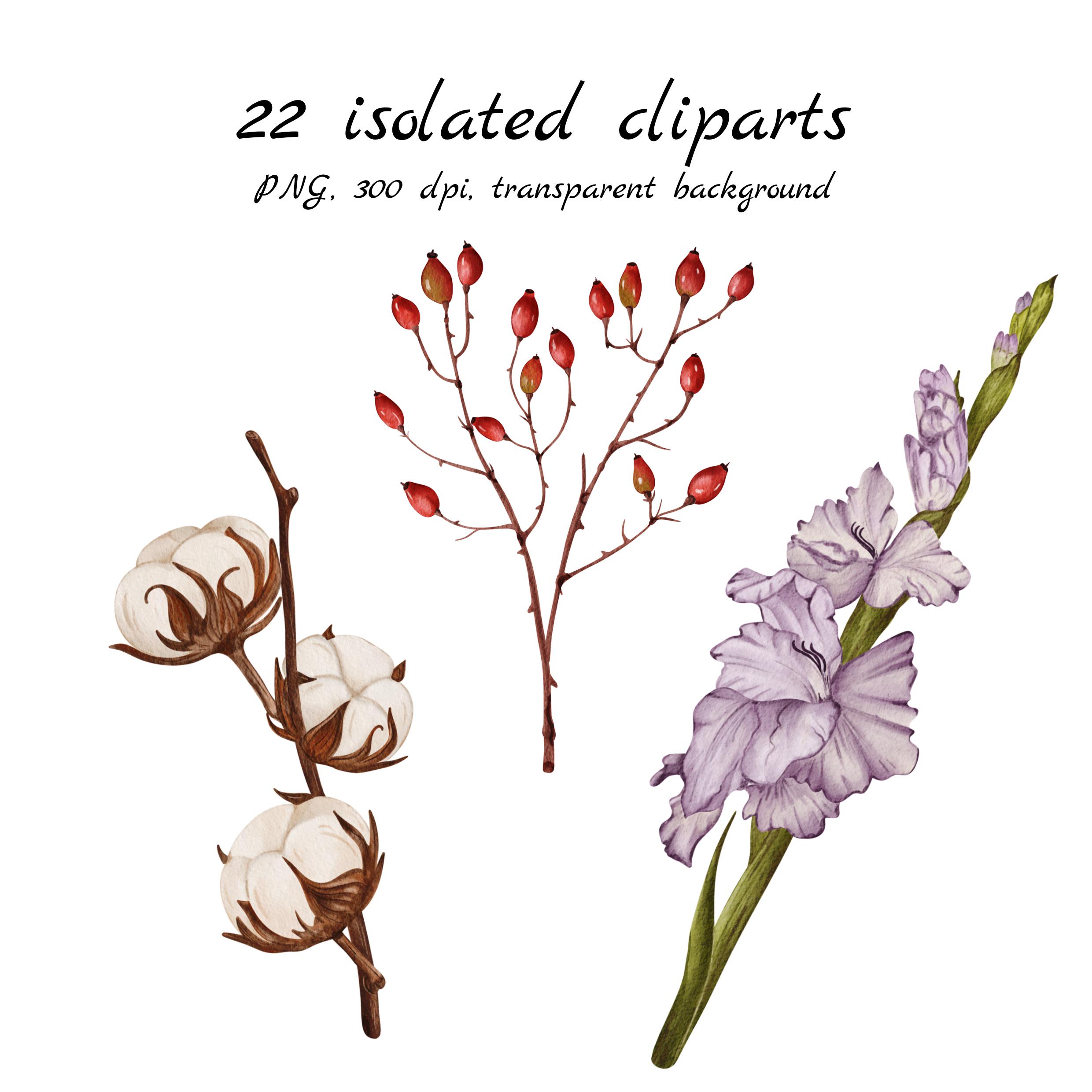 Watercolor Flowers Clipart Bundle: Floral PNG Collection - Etsy