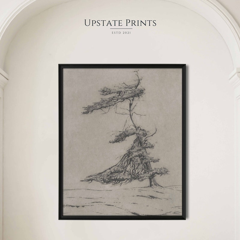 Windswept Tree - Etsy