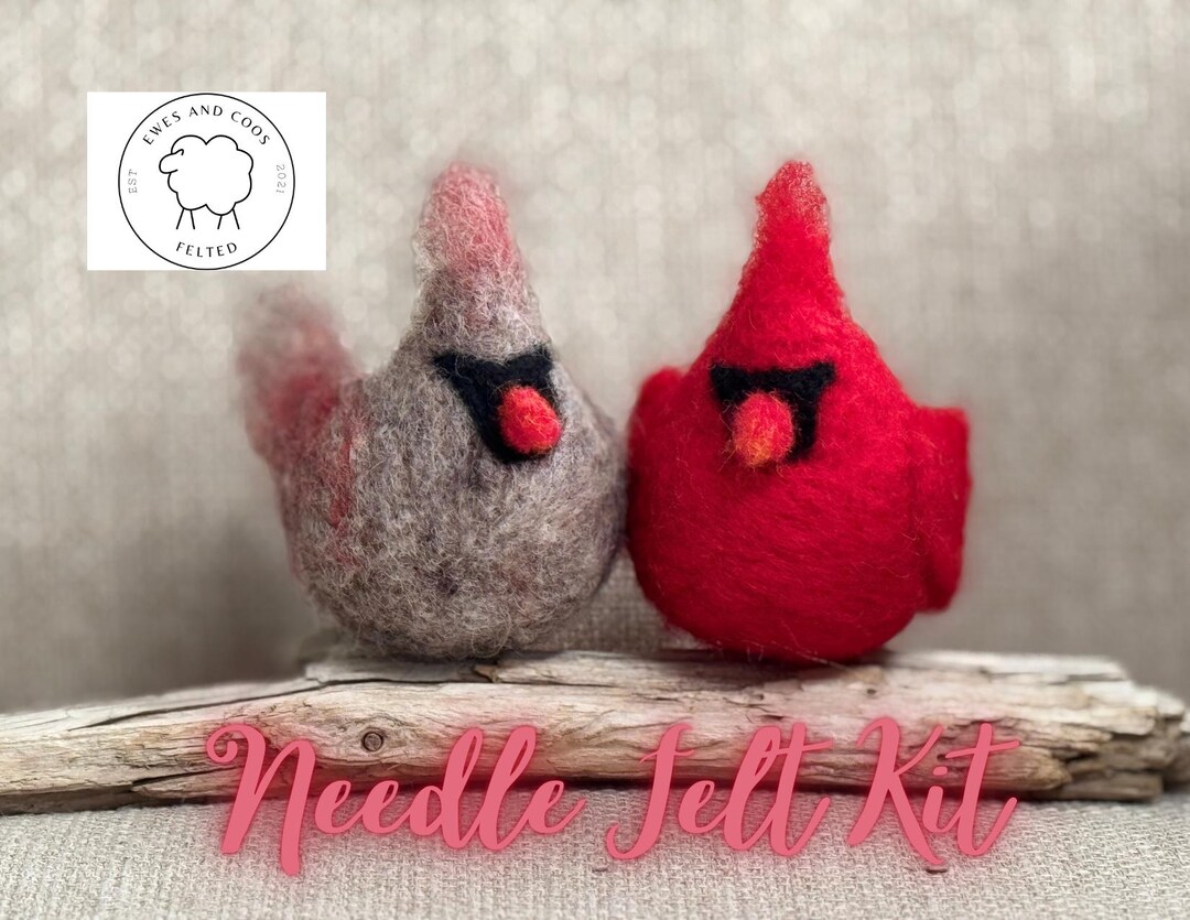 Needle Felt Kit Pair of Cardinals, Fun Craft, Kit for Beginners Fun ...