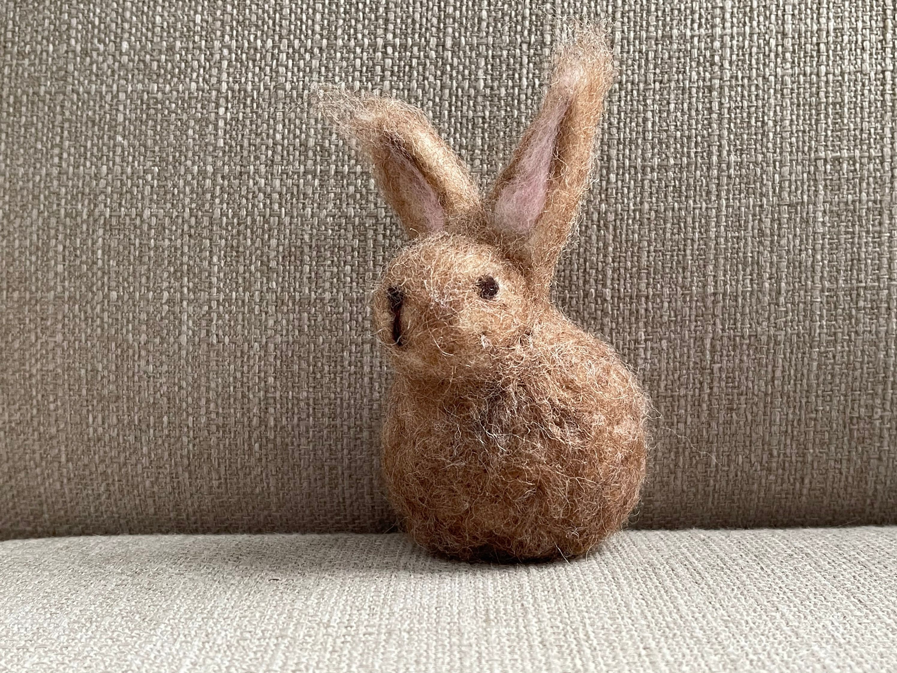 Needle Felt Kit Bunny, Fun Craft, Kit for Beginners Adorable Little ...