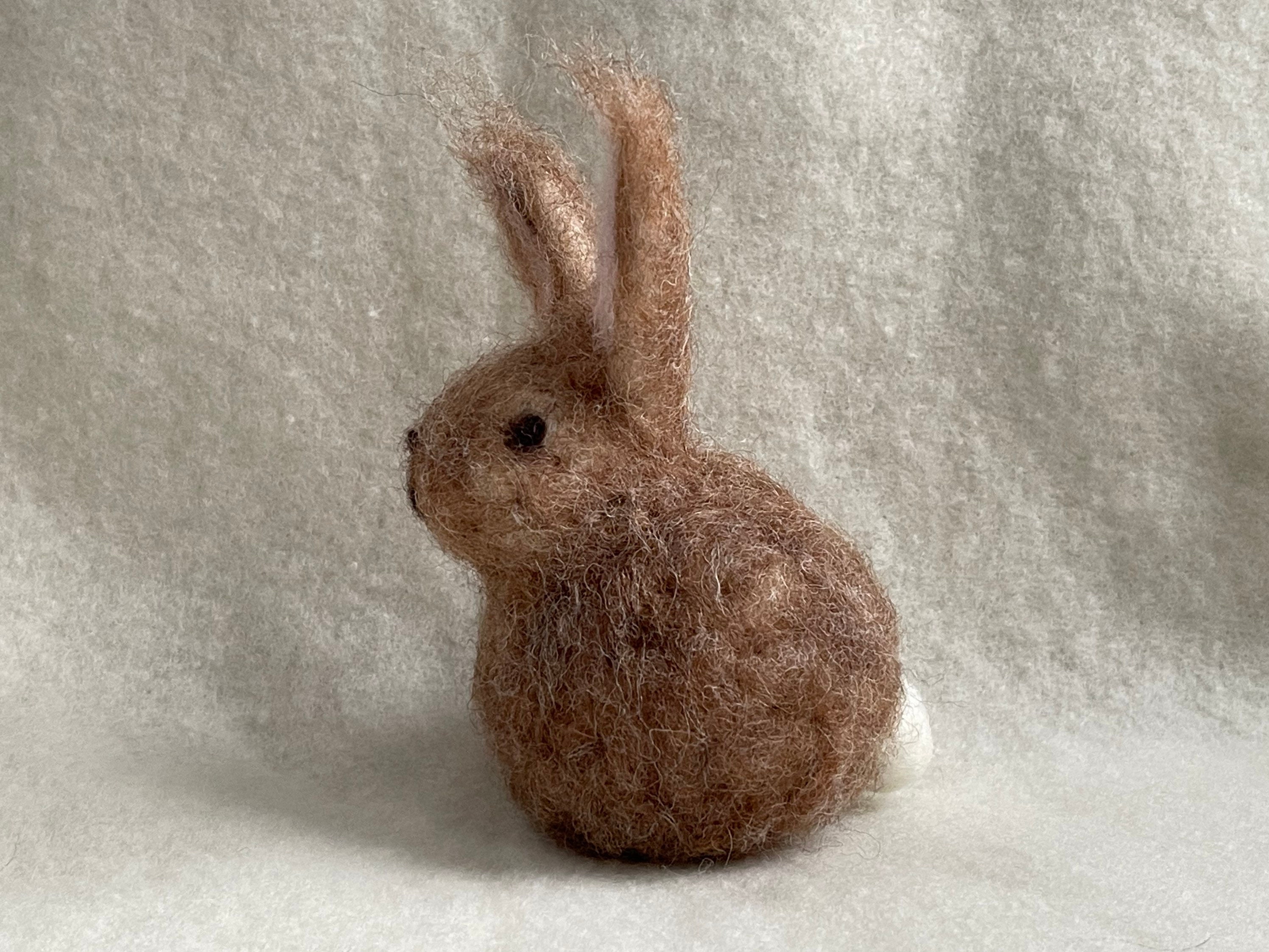 Needle Felt Kit Bunny, Fun Craft, Kit for Beginners Adorable Little ...
