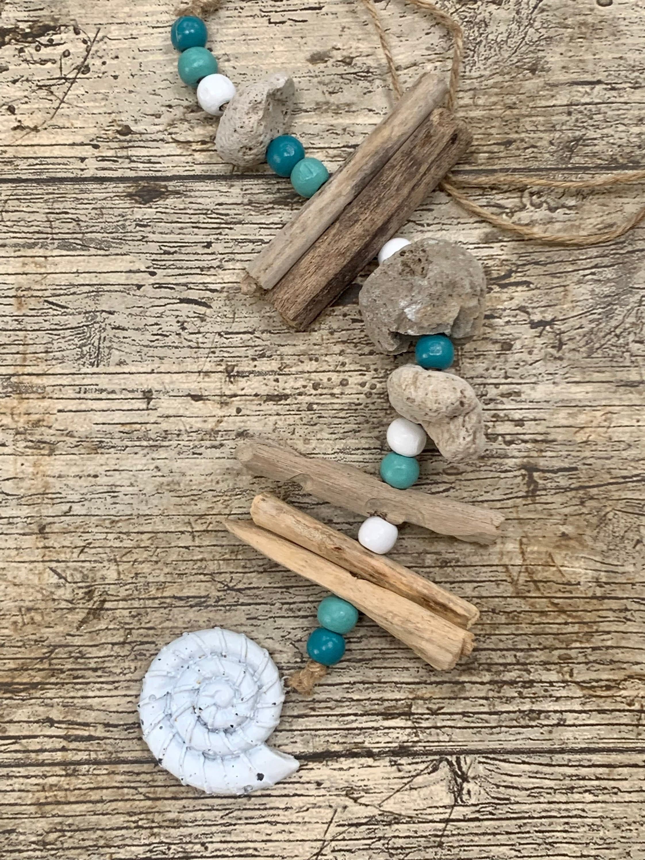 Driftwood Hanging Ammonite Spiral Sea Shell Hanger - Etsy