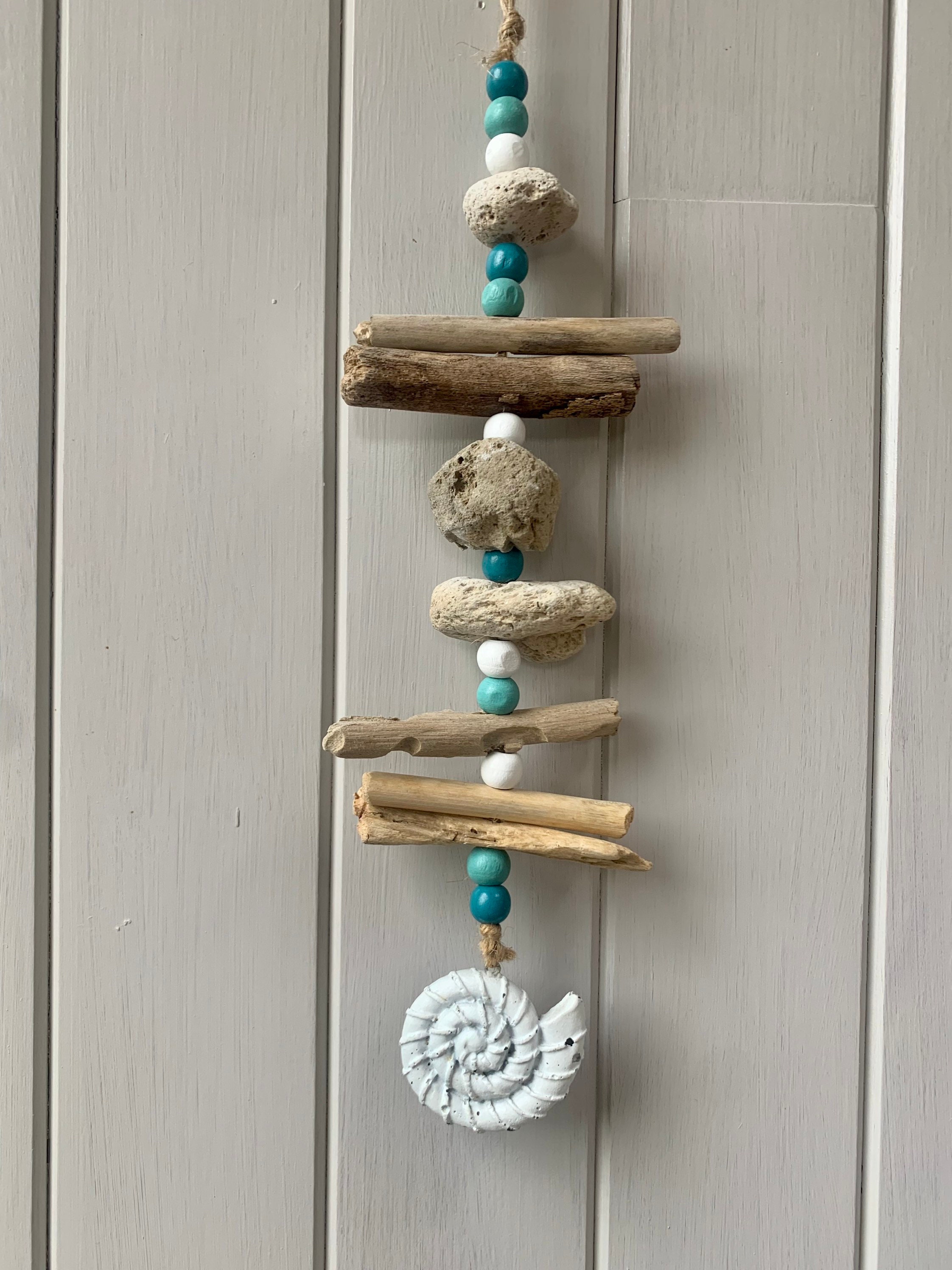 Driftwood Hanging Ammonite Spiral Sea Shell Hanger - Etsy