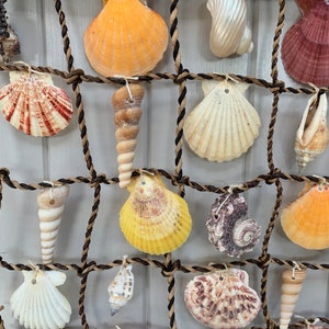 Seaside Driftwood Shell Hanger Decoration Nautical Coastal Decor - Etsy