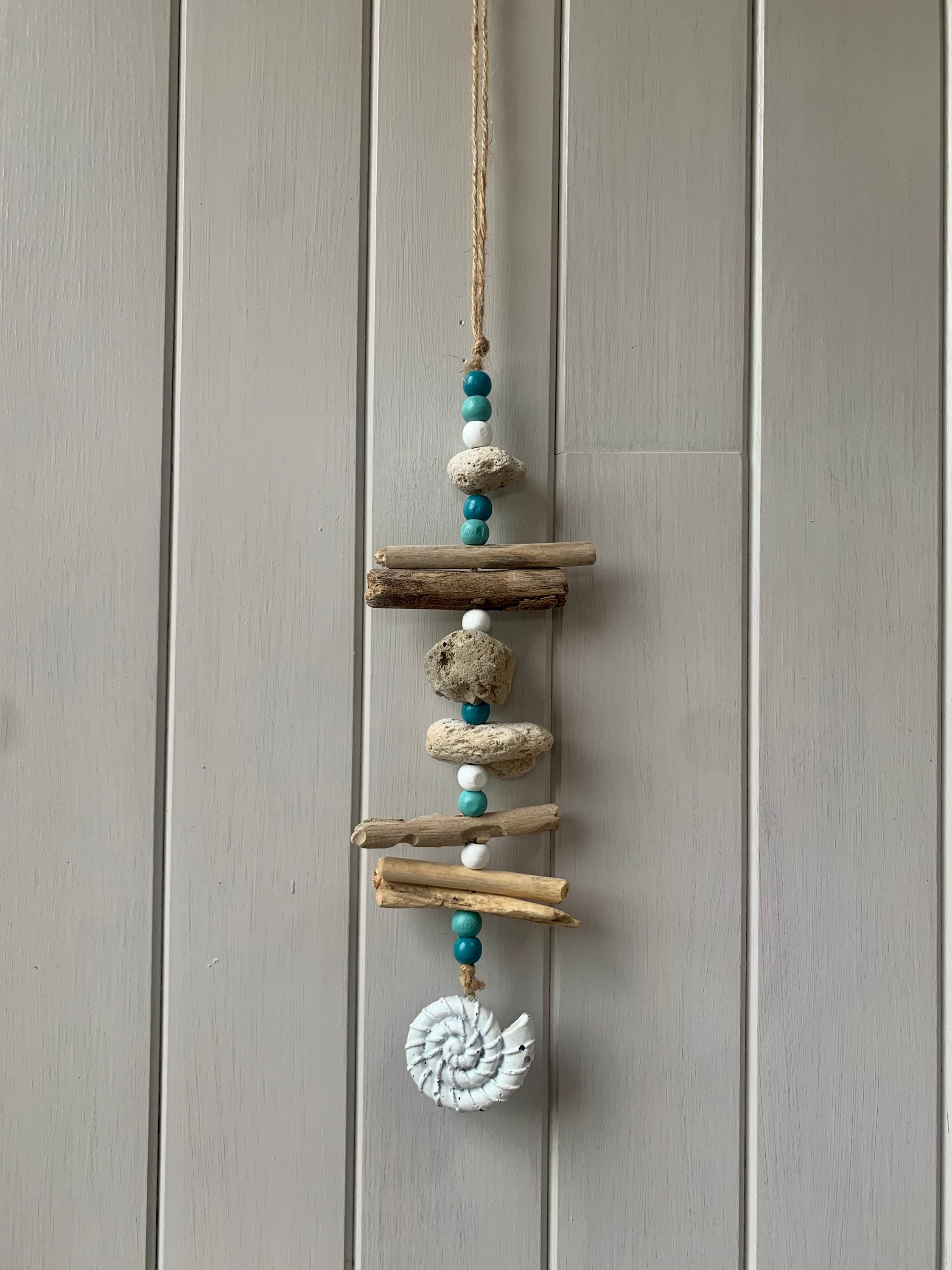 Driftwood Hanging Ammonite Spiral Sea Shell Hanger - Etsy
